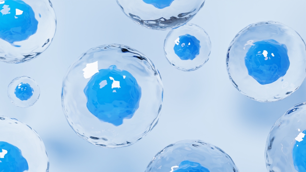 Hashimoto's, Lupus, RA: Can Stem Cell Therapy Actually Regulate Your ...